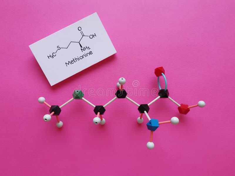 Structural Chemical Formula of Methionine Molecule. Molecular Structure ...