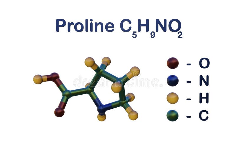 Structural Chemical Formula and Molecular Model of Proline. Proline is ...