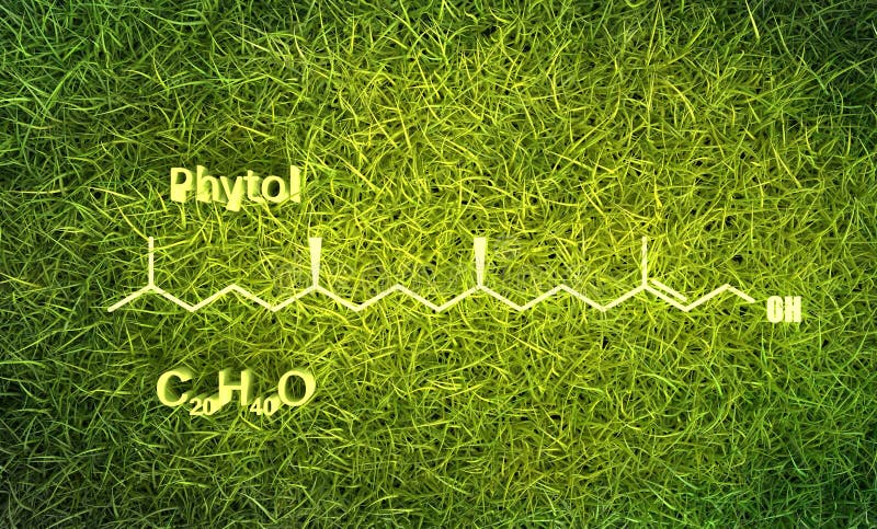 Structural Chemical Formula of Phytol that is Used As a Precursor for ...