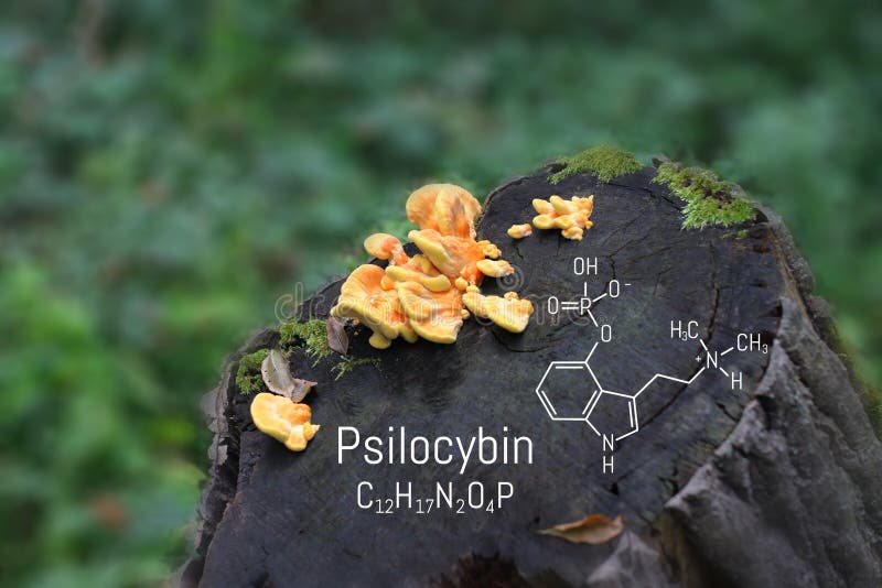 Structural Chemical Formula Psilocybin Alkaloid Molecule on a ...
