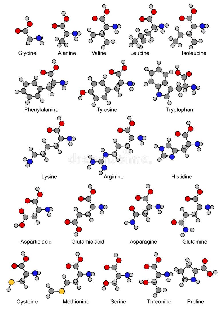 Amino Acids Stock Illustrations – 2,205 Amino Acids Stock Illustrations ... Amino Acids Stock Illustrations – 2,205 Amino Acids Stock Illustrations ...