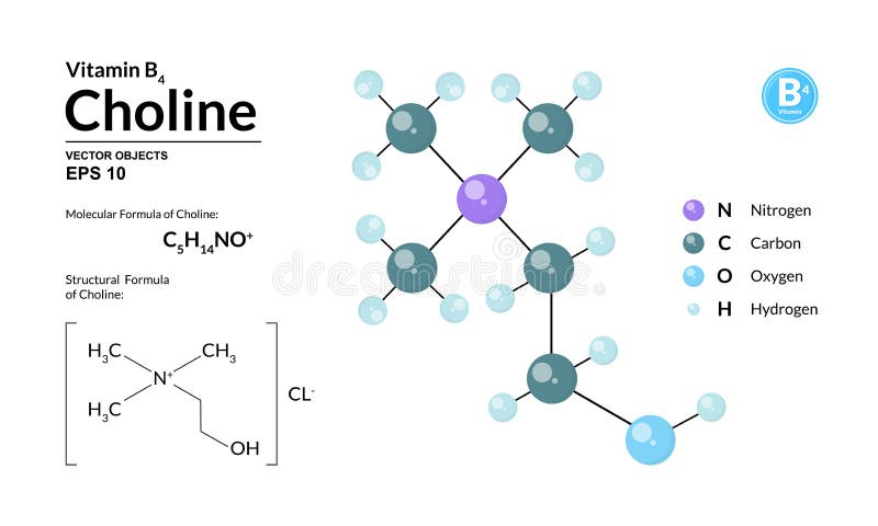 Choline Structure