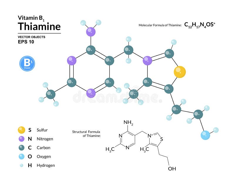 Structural Chemical Molecular Formula and Model of Thiamine. Atoms are ...