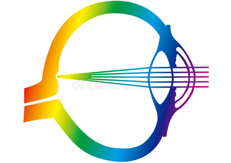 Structural Design of the Human Eye Stock Vector - Illustration of ...