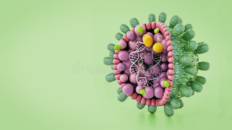 Structural Detail of Hepatitis B Virus Isolated on Green Background. 3D ... Structural Detail of Hepatitis B Virus Isolated on Green Background. 3D ...