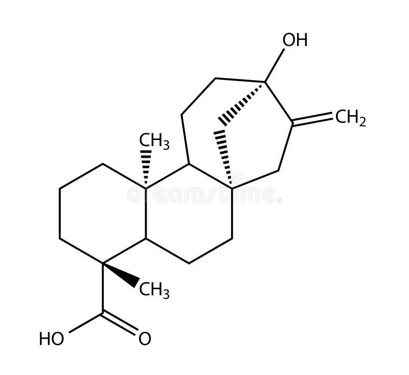 Structural Formula of Steviol Stock Vector - Illustration of metabolism ...