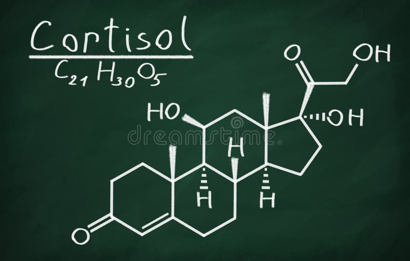 Cortisol Stock Illustrations – 1,084 Cortisol Stock Illustrations ...