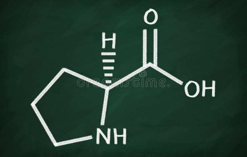 3d Structure Of Proline, An Alfa-amino Acid That Is Used In The Stock ...