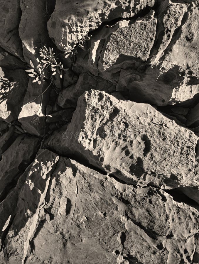 Textured Black and White Background of Coastal Rocks. Stock Photo ...