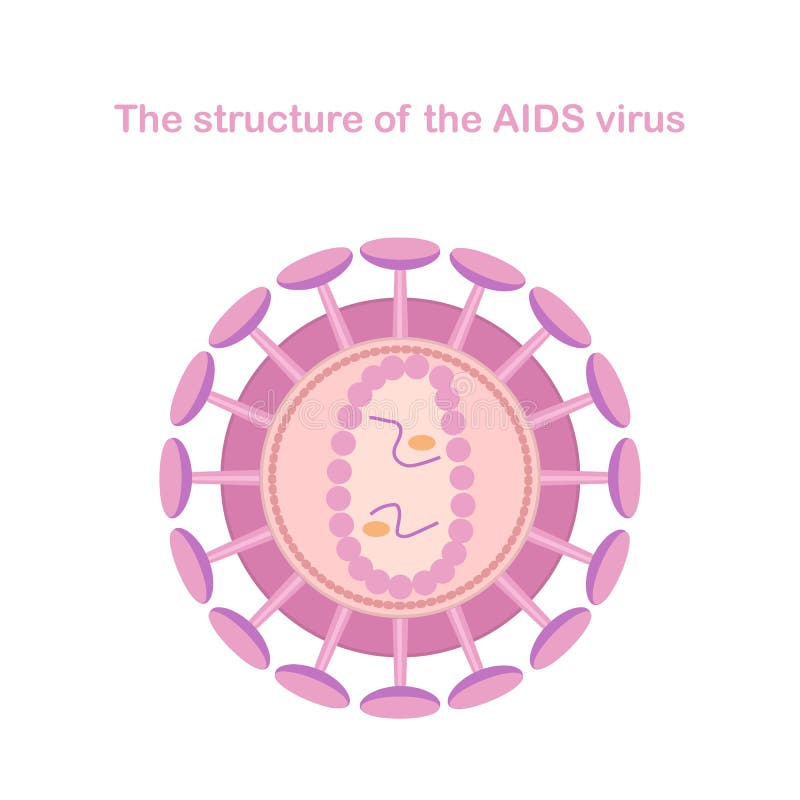 Aids Virus Diagram