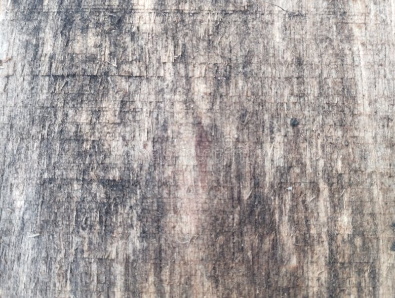 The Structure of Albasia Wood is Quite Dense with a Straight Grain ...
