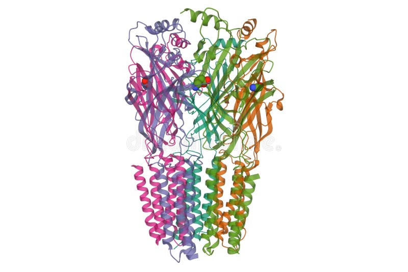 Gaba Receptor Stock Illustrations – 111 Gaba Receptor Stock ...