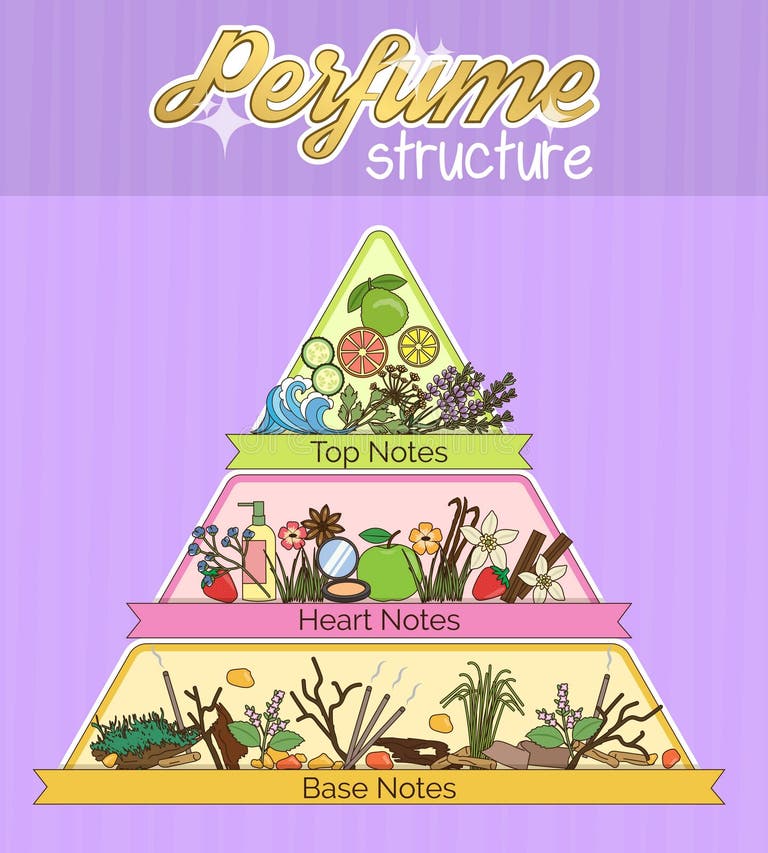 Structure Aroma Infographic Pyramid Stock Illustrations – 2 Structure ...
