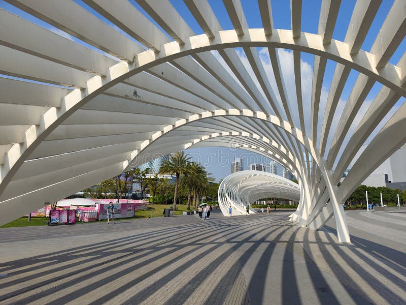 Structure of Beams and Shadow Reflection on the Pavement in Shenzhen ...