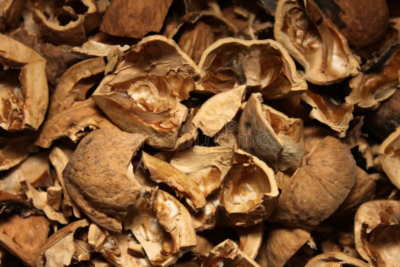 The Structure of the Broken Walnuts Stock Image - Image of nutcracker ...