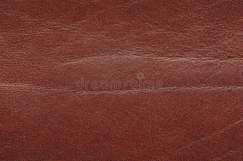 Structure of Brown Skin Texture Stock Photo - Image of brown, grained ...