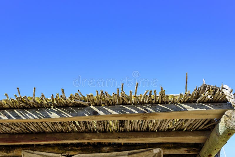 Roof Covered with White Cane Stock Image - Image of white, clear: 206508393