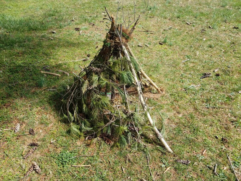 Structure Built with Sticks and Pine Branches on Grass Stock Image ...