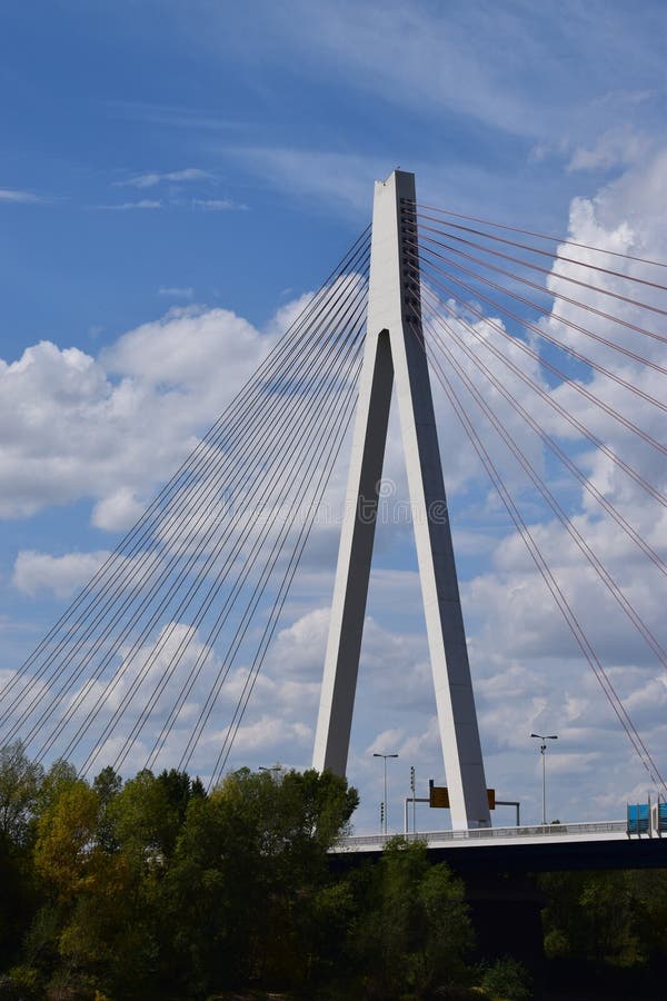 Structure of a Cable Stayed Bridge Stock Photo - Image of thin ...