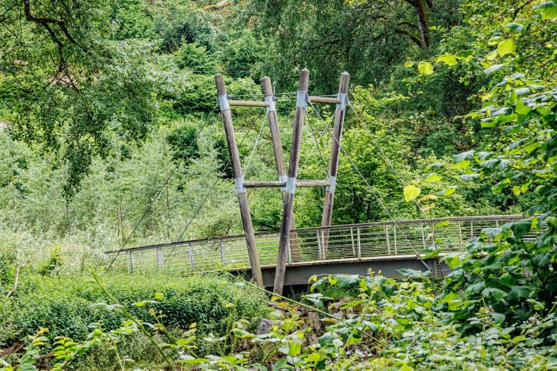 Structure of Cable-stayed Pedestrian Bridge Surrounded by Abundant ...
