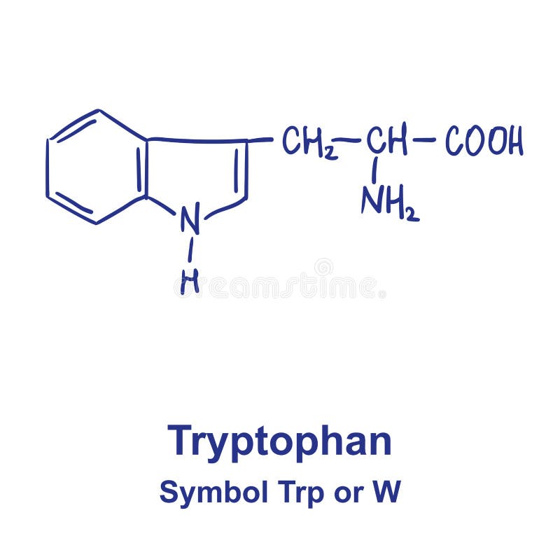 Structure Chimique Du Tryptophane. Illustration Vectorielle Tirée Main ...