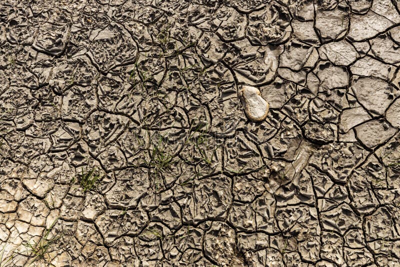 Structure and Cracks of a Dry Surface Stock Image - Image of material ...