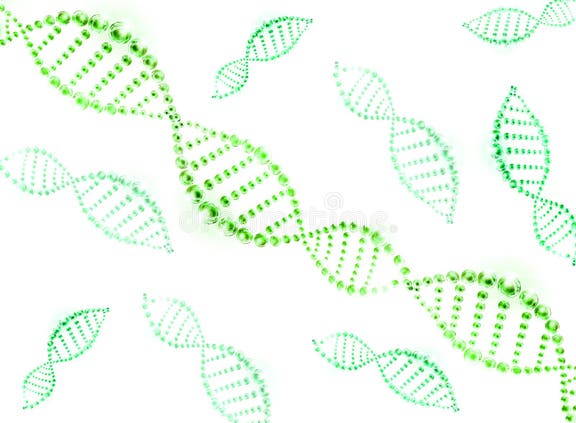 Structure De La Molécule D'ADN Illustration Stock - Illustration du ...