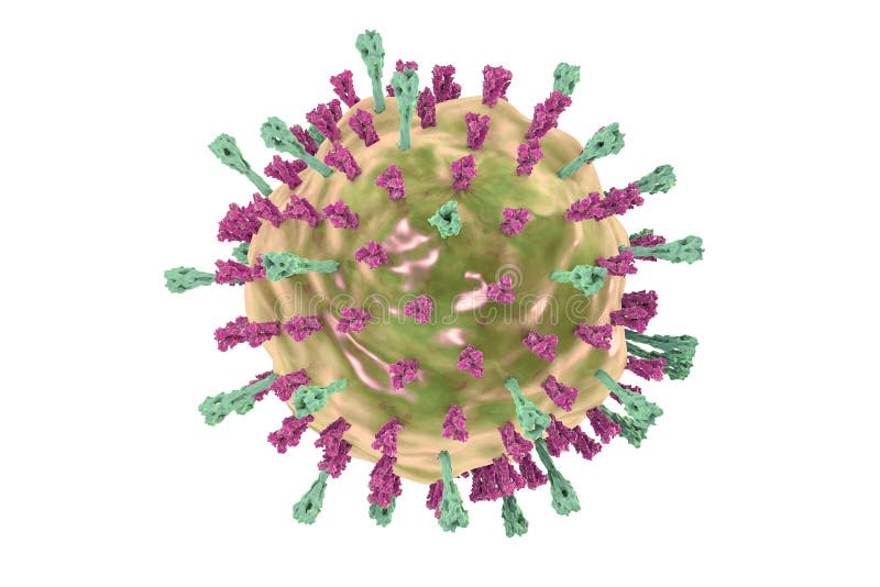 Structure De Virus Des Oreillons Illustration Stock - Illustration du ...