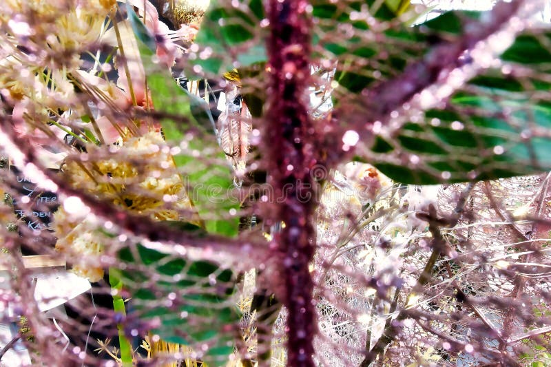 A Structure for Decoration Purposes with Various Ingredients Suitable ...