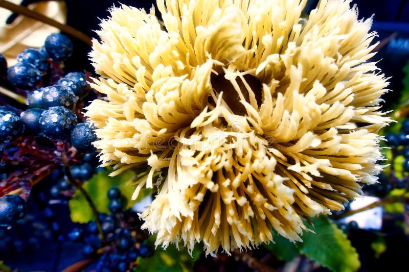 A Structure for Decoration Purposes with Various Ingredients Suitable ...