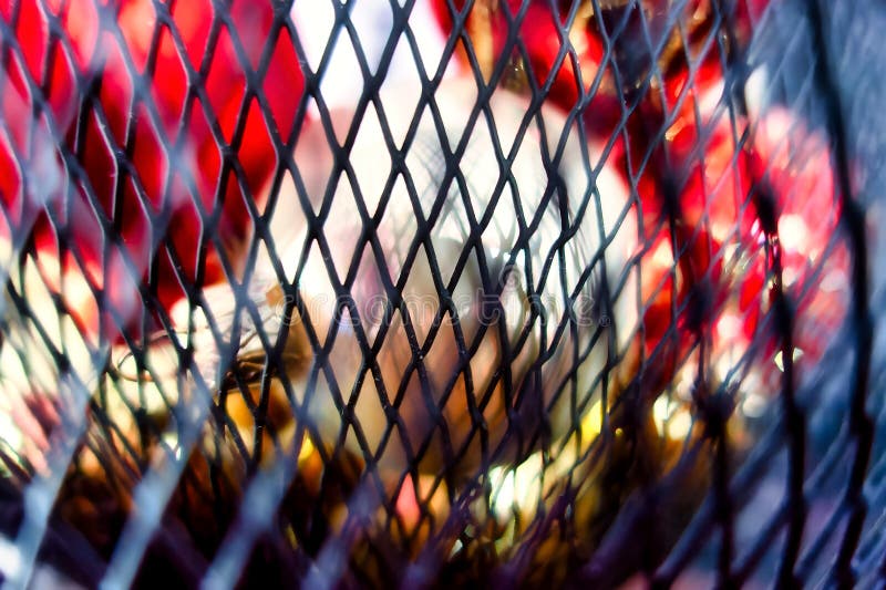 A Structure for Decoration Purposes with Various Ingredients Suitable ...