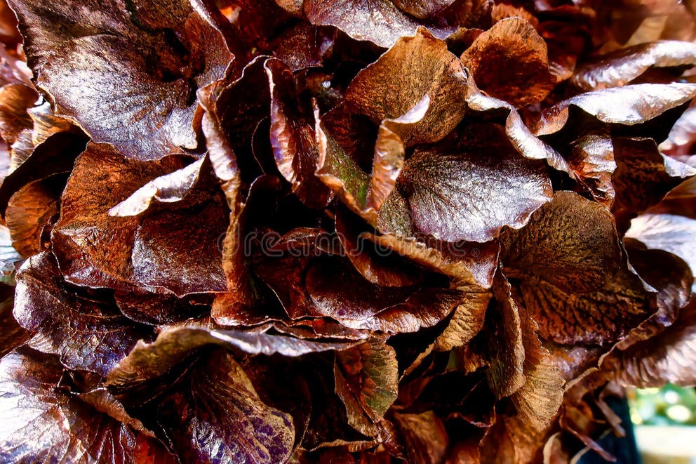 A Structure for Decoration Purposes with Various Ingredients Suitable ...