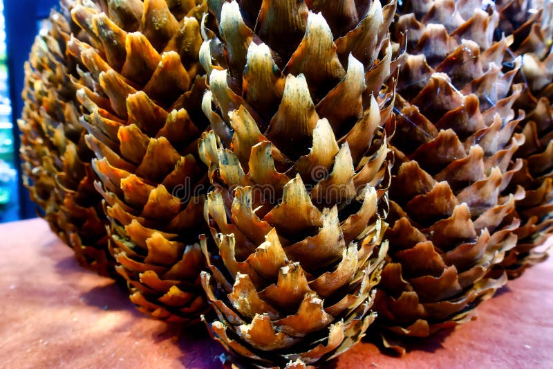 A Structure for Decoration Purposes with Various Ingredients Suitable ...