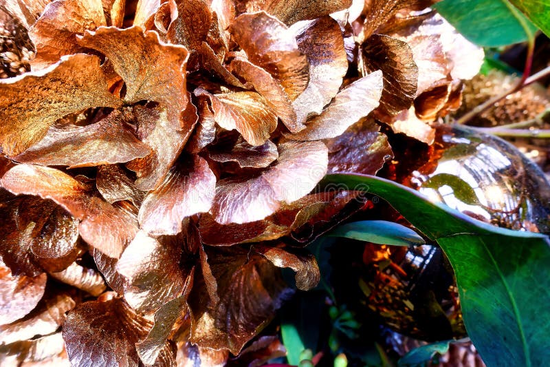 A Structure for Decoration Purposes with Various Ingredients Suitable ...