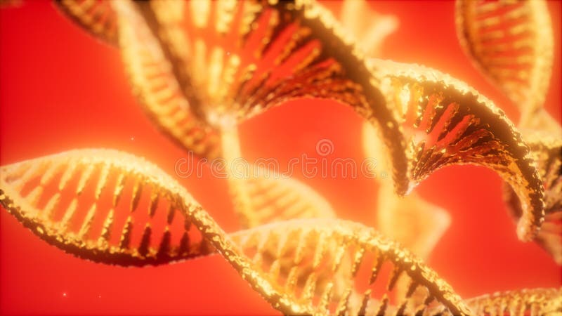 Structure Of The Dna Double Helix Animation Stock Illustration
