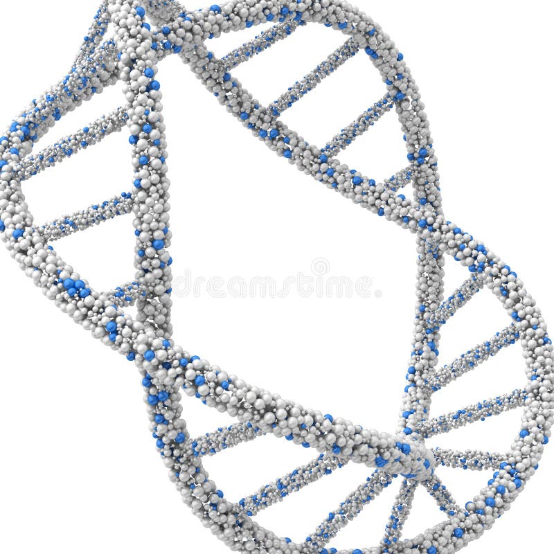 The Structure of the DNA Molecule Twisted into a Stock Illustration ...