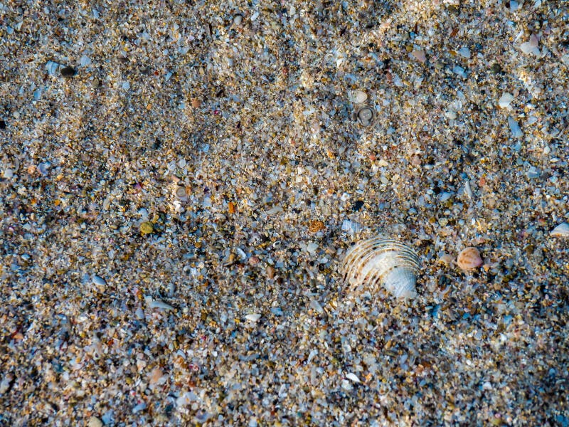 Structure Du Sable Sur La Plage Dans Alghero, Sardaigne Photo stock ...