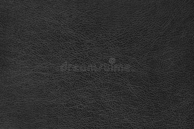 Structure of Genuine Leather, Shiny Black Leatherette Surface with ...