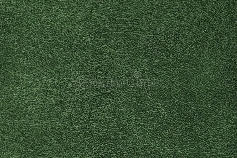 Structure of Genuine Leather, Shiny Green Leatherette Surface with ...