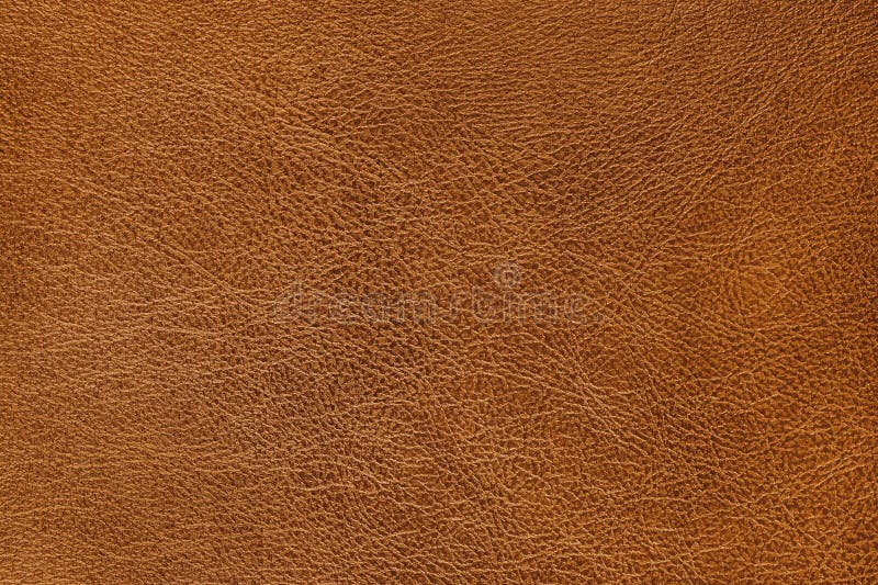 Structure of Genuine Leather, Shiny Orange Leatherette Surface with ...