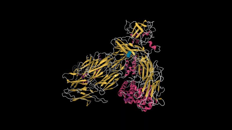 Structure of Human Complement C5. Stock Video - Video of isolated ...