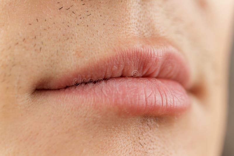 The Structure of Human Lips, Close-up, Morphology and Anatomy, Mucous ...