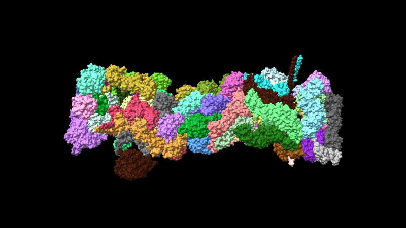 Structure of Human 26S Proteasome Stock Footage - Video of medicine ...