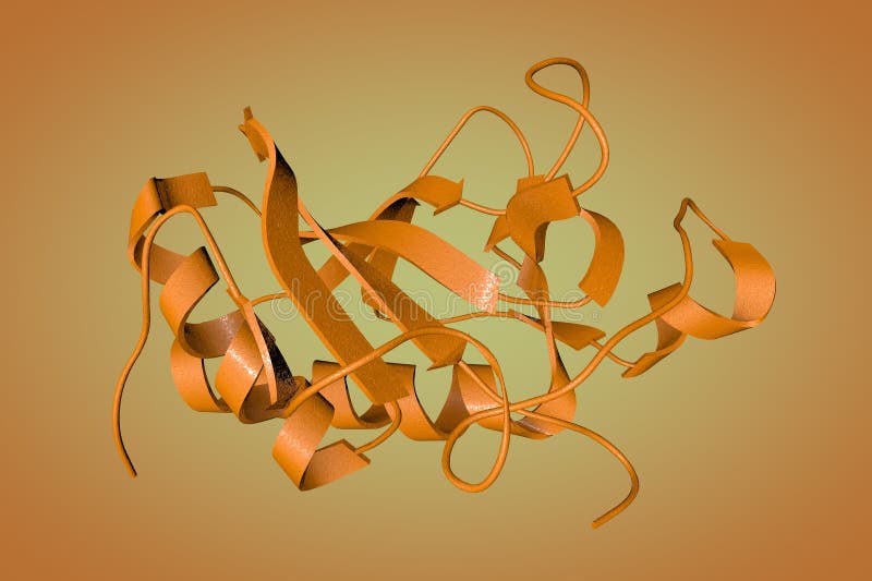 Structure of Human Sonic Hedgehog on Orange Background. Ribbons Diagram ...