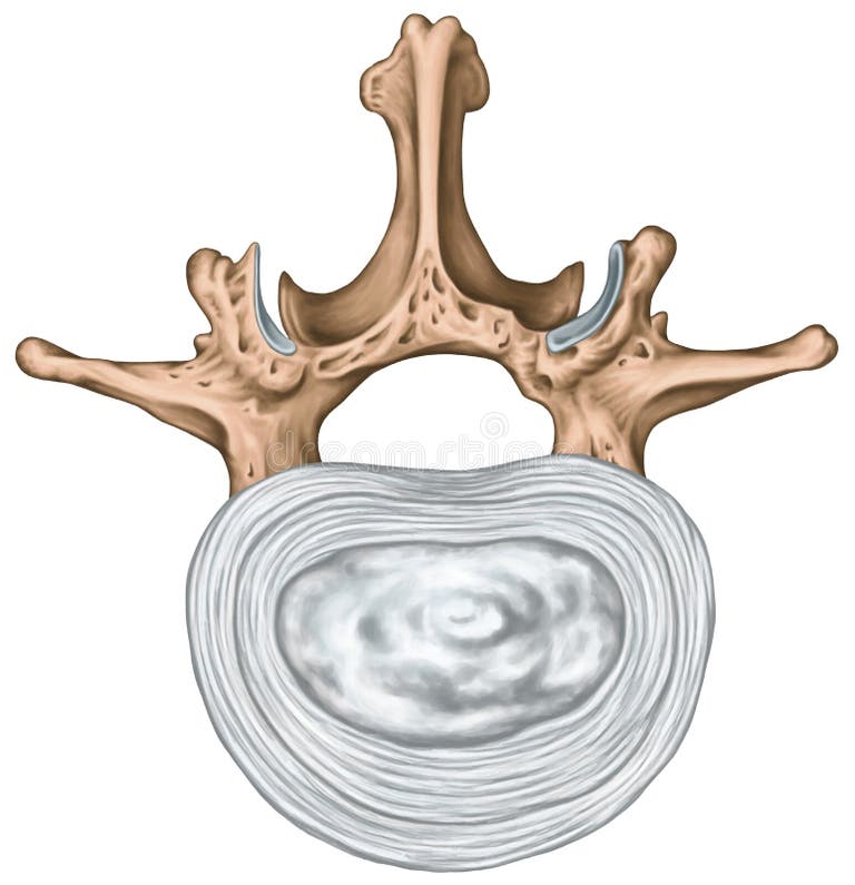 Disk Structures Stock Illustrations – 151 Disk Structures Stock ...