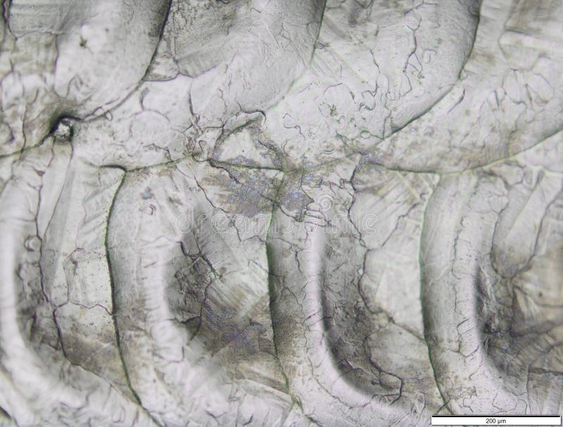 Structure of Titanium Under a Microscope. Stock Photo - Image of ...