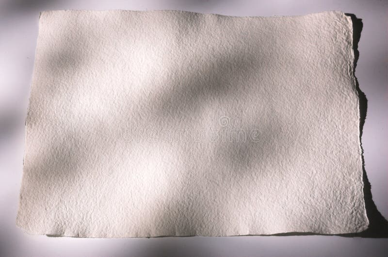 Structure of a Leaf of a Paper Stock Photo - Image of isolated, page ...