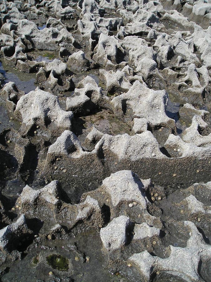 The Structure Of The Limestone Natural Stone Stock Image - Image of ...