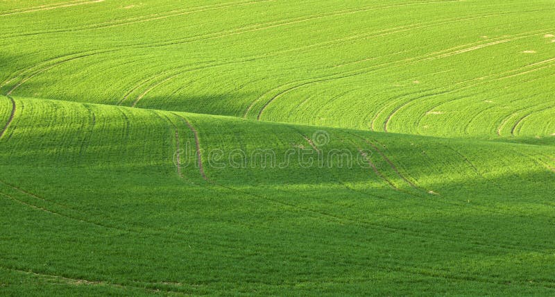 Structure of Lines and Waves at a Field Stock Photo - Image of ...