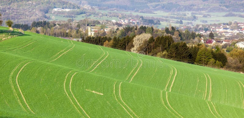 Structure of Lines and Waves at a Field Stock Photo - Image of green ...